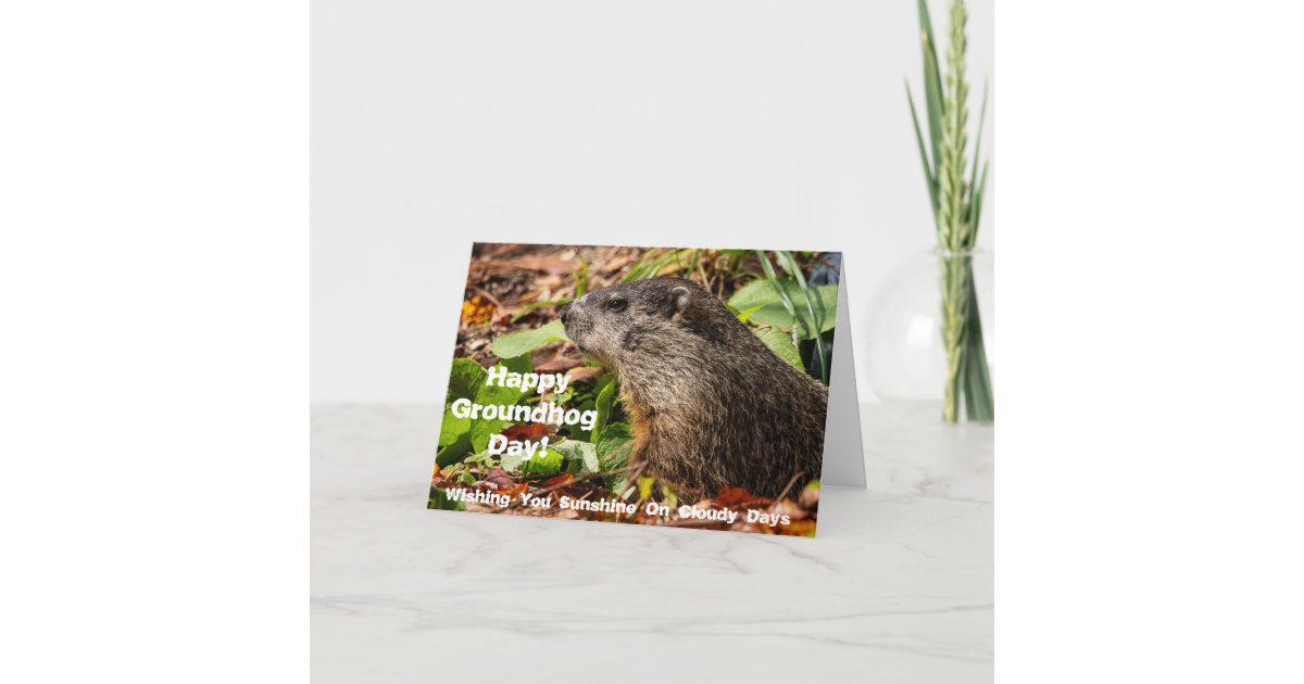 Groundhog Day Card | Zazzle