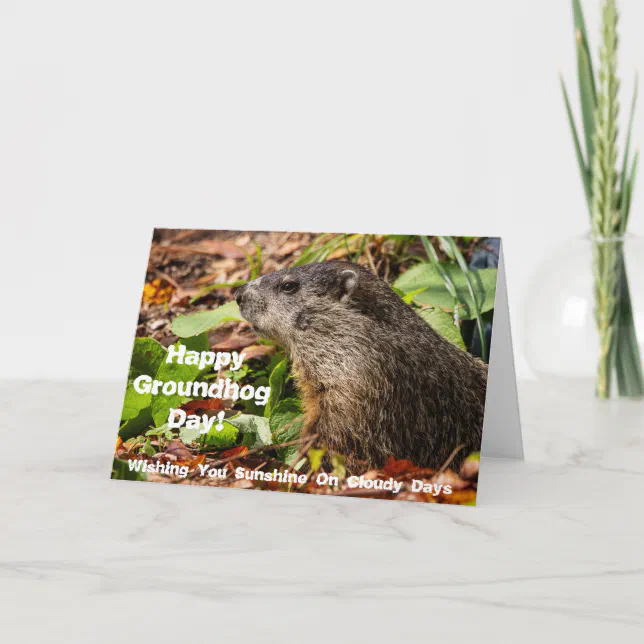 Groundhog Day Card | Zazzle