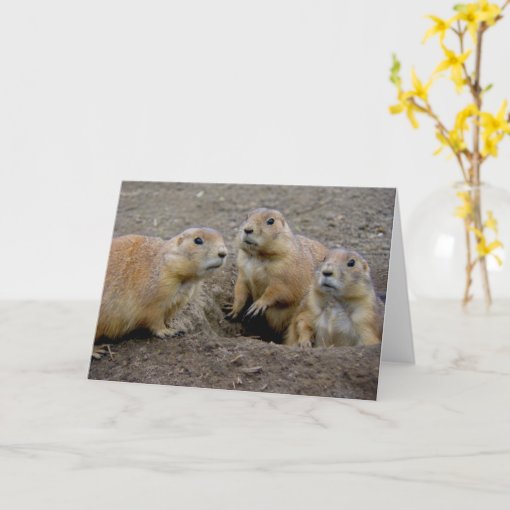 Groundhog Day Card | Zazzle