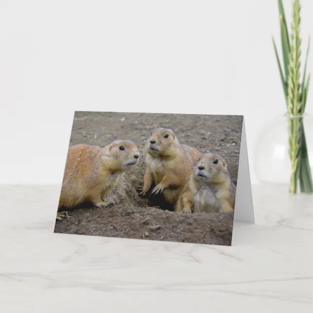Groundhog Day Card | Zazzle