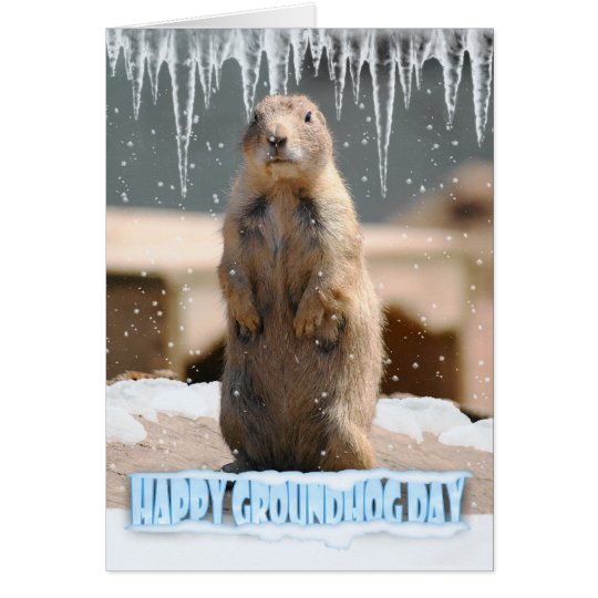 Groundhog Day Card, Happy Groundhog Day Card | Zazzle.com