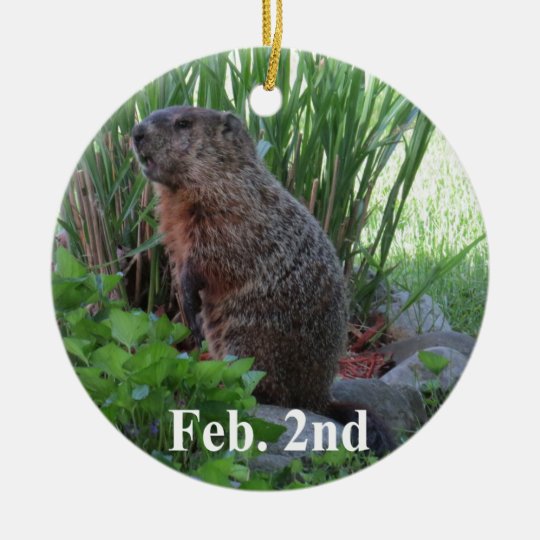Groundhog Day Ceramic Ornament | Zazzle.com