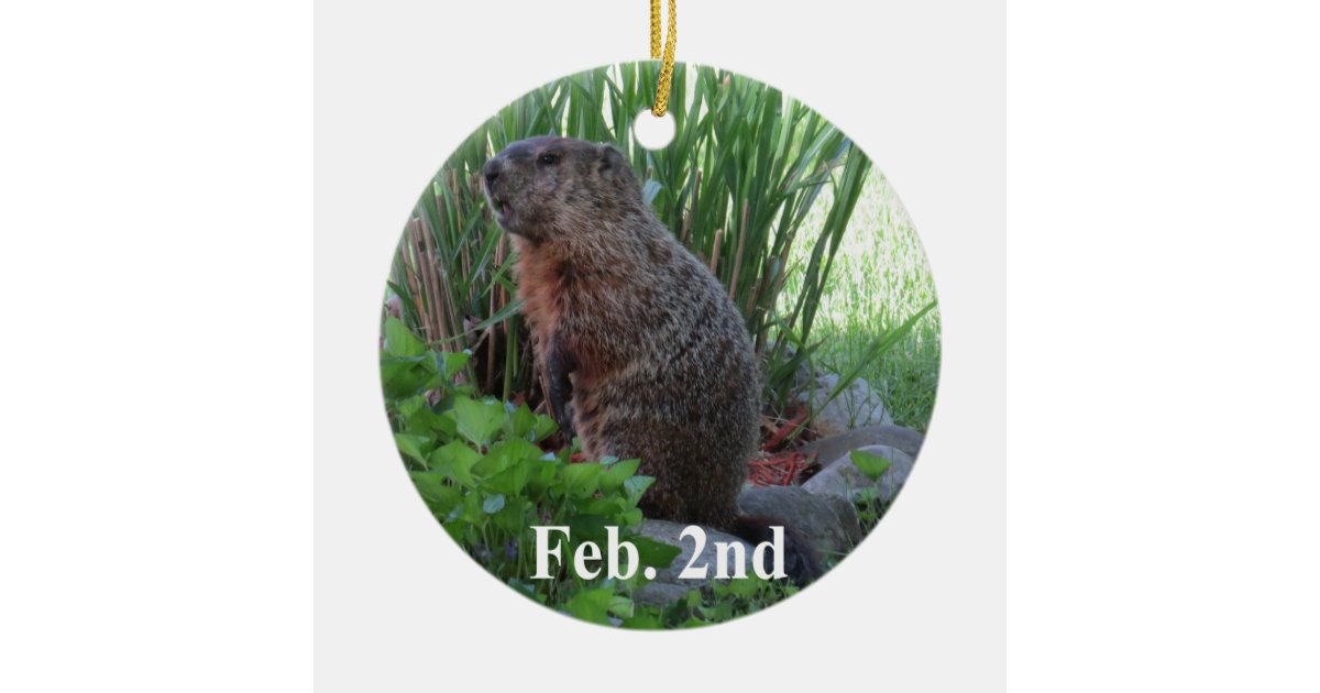 Groundhog Day Ceramic Ornament | Zazzle
