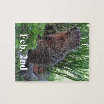 Groundhog Day Jigsaw Puzzle | Zazzle