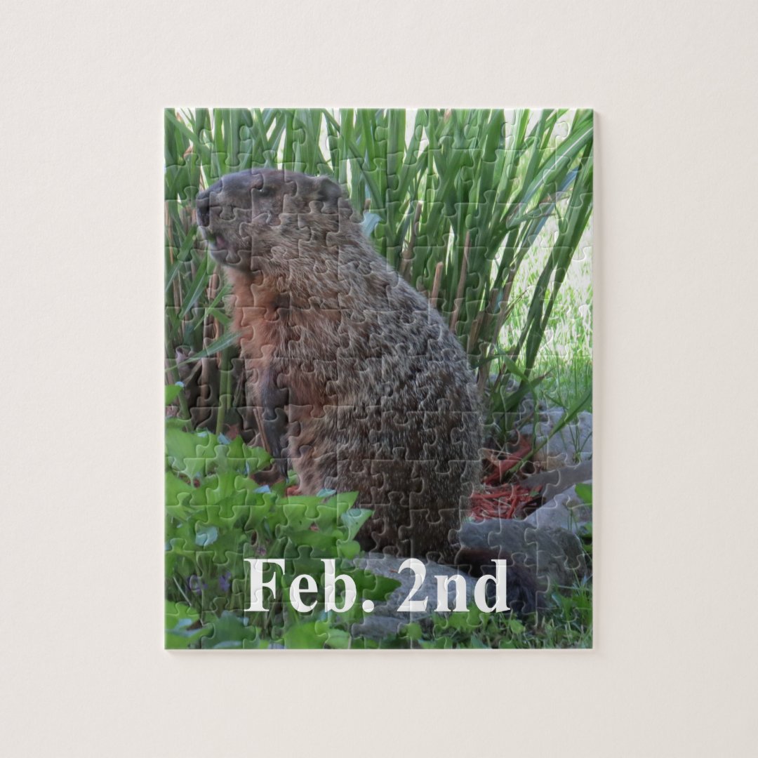 Groundhog Day Jigsaw Puzzle | Zazzle