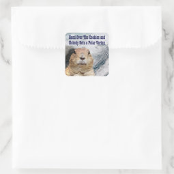 Groundhog Day Polar Vortex Square Sticker | Zazzle
