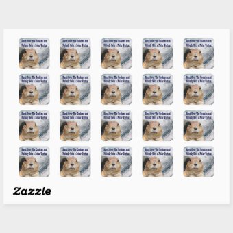 Groundhog Day Polar Vortex Square Sticker | Zazzle