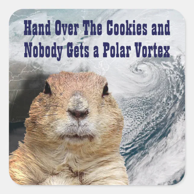 Groundhog Day Polar Vortex Square Sticker | Zazzle