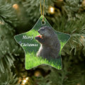 Groundhog eating ceramic ornament | Zazzle