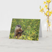 Groundhog Pose Card | Zazzle