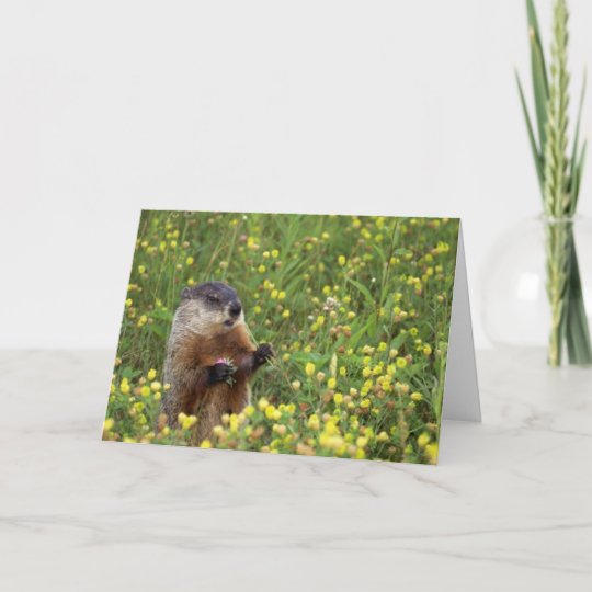 Groundhog Pose Card | Zazzle.com
