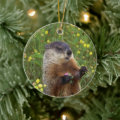 Groundhog Pose Ceramic Ornament | Zazzle