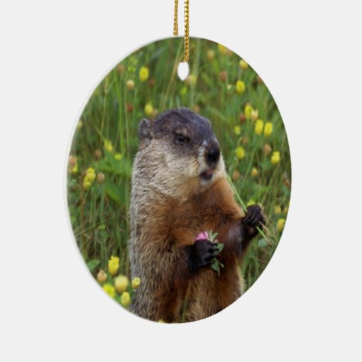 Groundhog Pose Ceramic Ornament | Zazzle