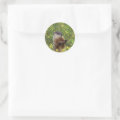 Groundhog Pose Sticker | Zazzle