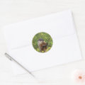 Groundhog Pose Sticker | Zazzle