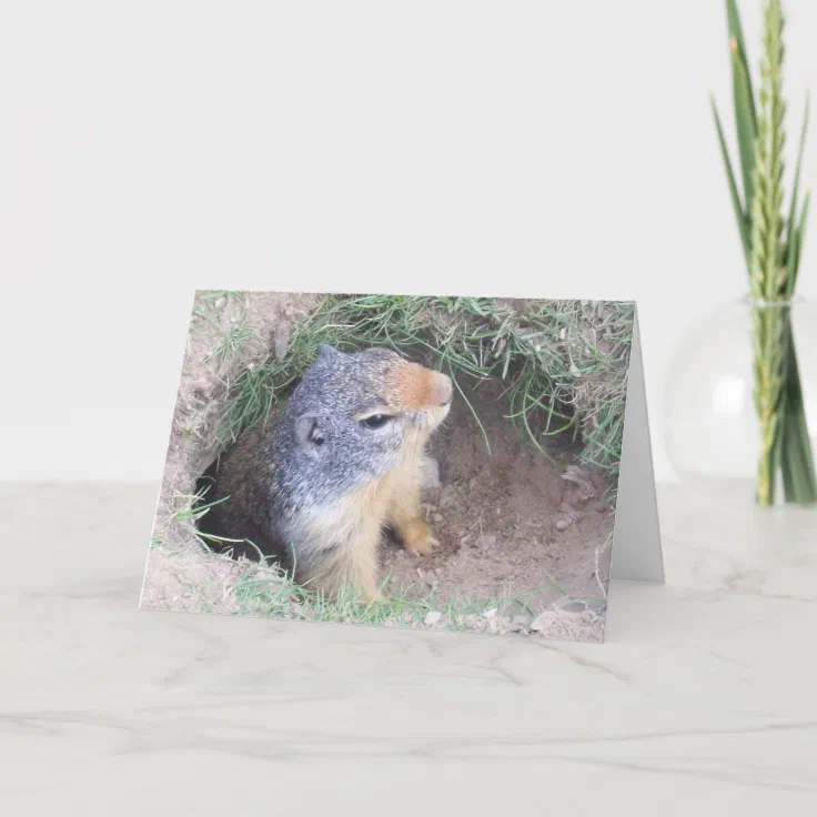 Groundhogs Day card | Zazzle