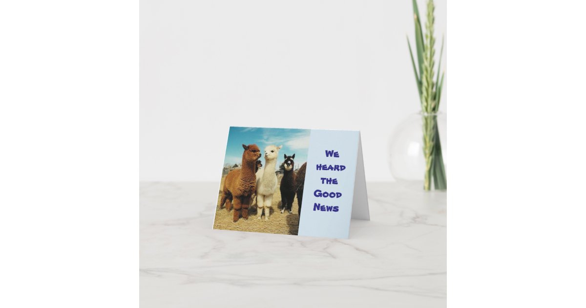 GROUP OF **CONGRATULATIONS GOOD NEWS** CARD | Zazzle