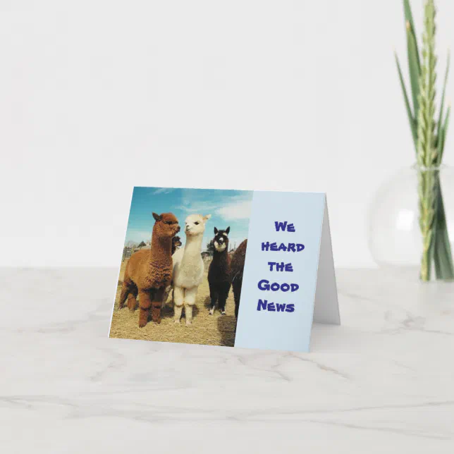 GROUP OF **CONGRATULATIONS GOOD NEWS** CARD | Zazzle