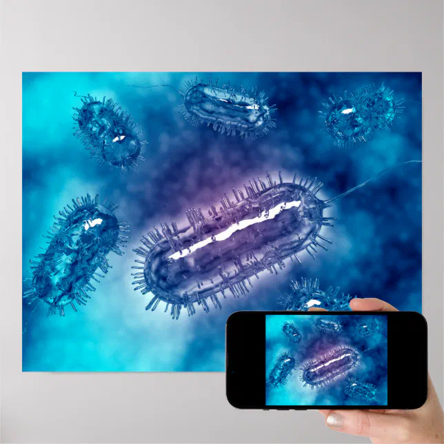 Group Of Escherichia Coli Bacteria Cells 1 Poster | Zazzle