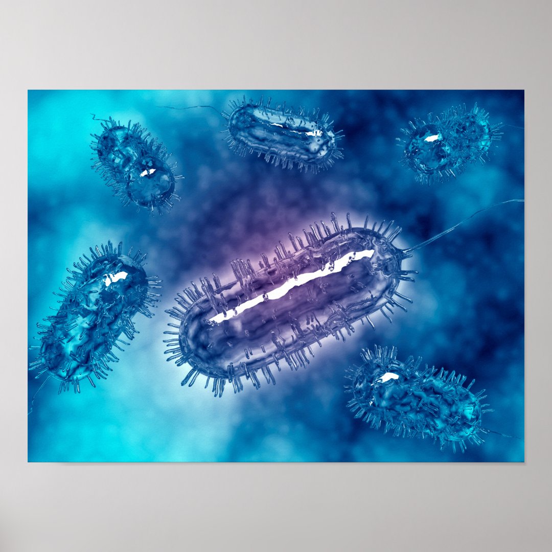 Group Of Escherichia Coli Bacteria Cells 1 Poster | Zazzle