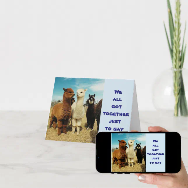 GROUP OF "LLAMAS SAY HAPPY BIRTHDAY" CARD | Zazzle