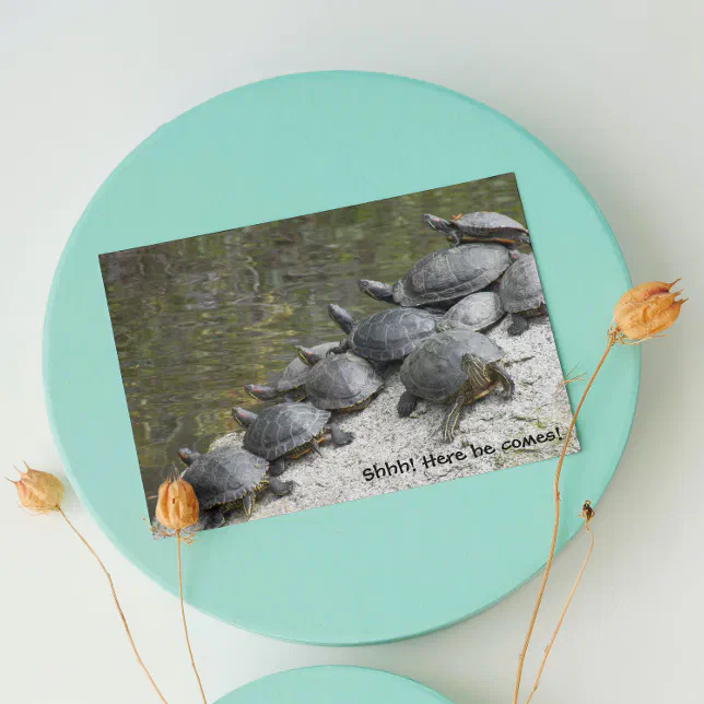 Group of Turtles on Rock Funny Nature Birthday Card | Zazzle