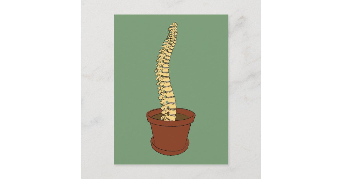 Grow A Spine Postcard | Zazzle