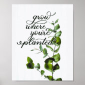 "Grow Where You're Planted" Inspirational Quote Poster | Zazzle