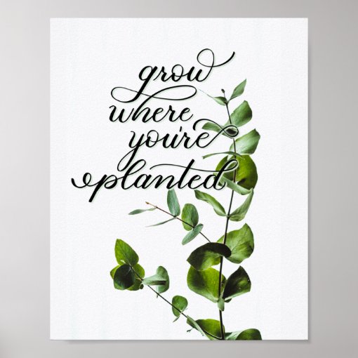 "Grow Where You're Planted" Inspirational Quote Poster | Zazzle