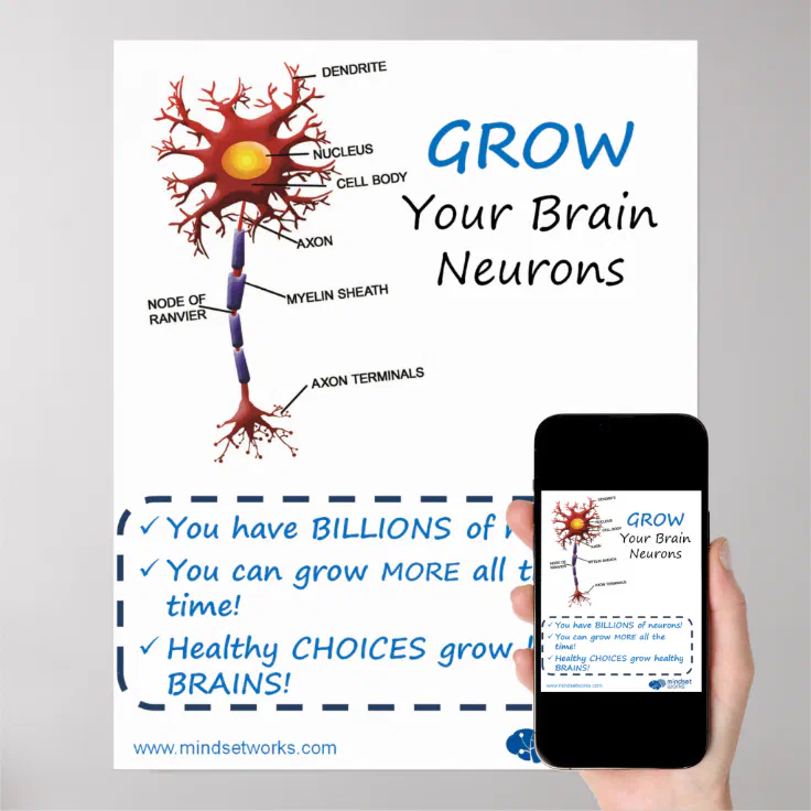 Grow Your Brain Neurons Brainology® Poster | Zazzle