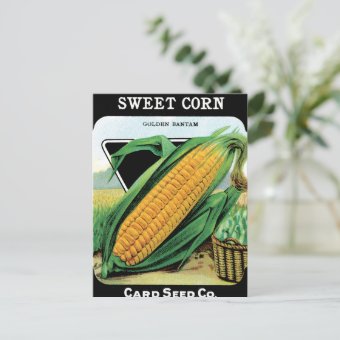 Growing Corn Postcard | Zazzle