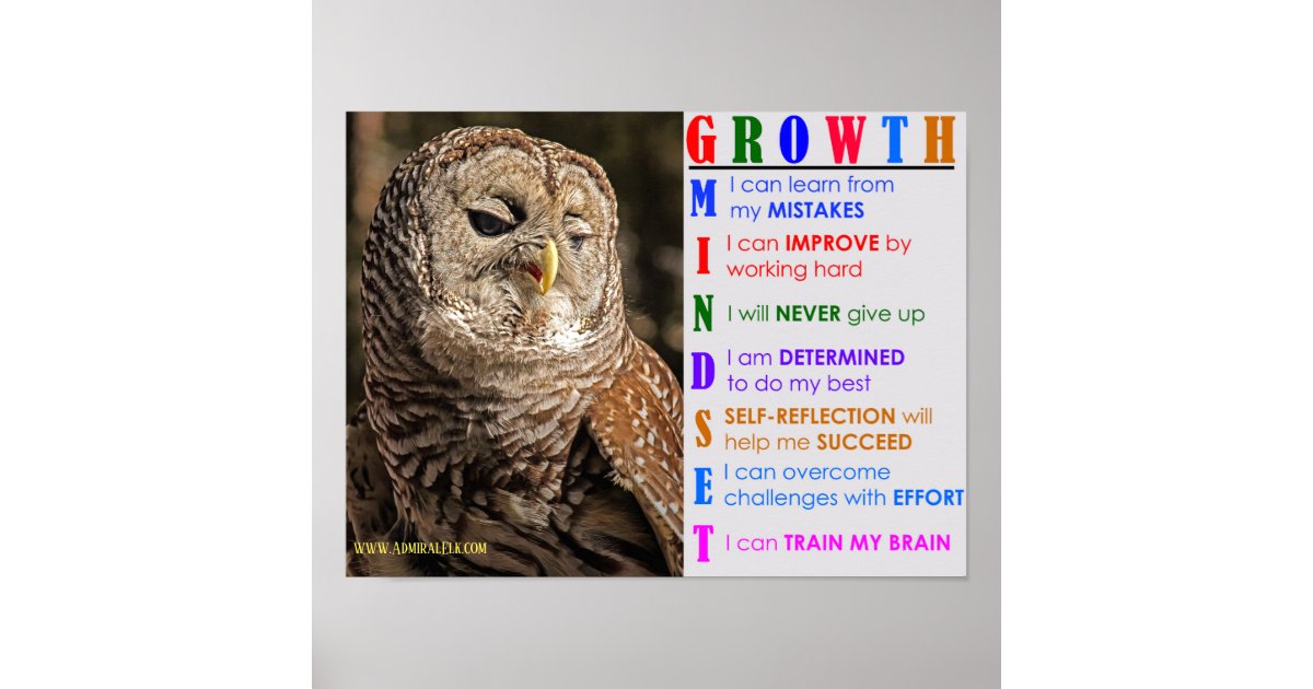 Growth Mindset Owl Poster | Zazzle