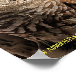 Growth Mindset Owl Poster | Zazzle