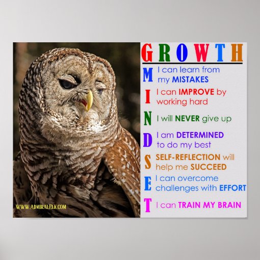 Growth Mindset Owl Poster | Zazzle