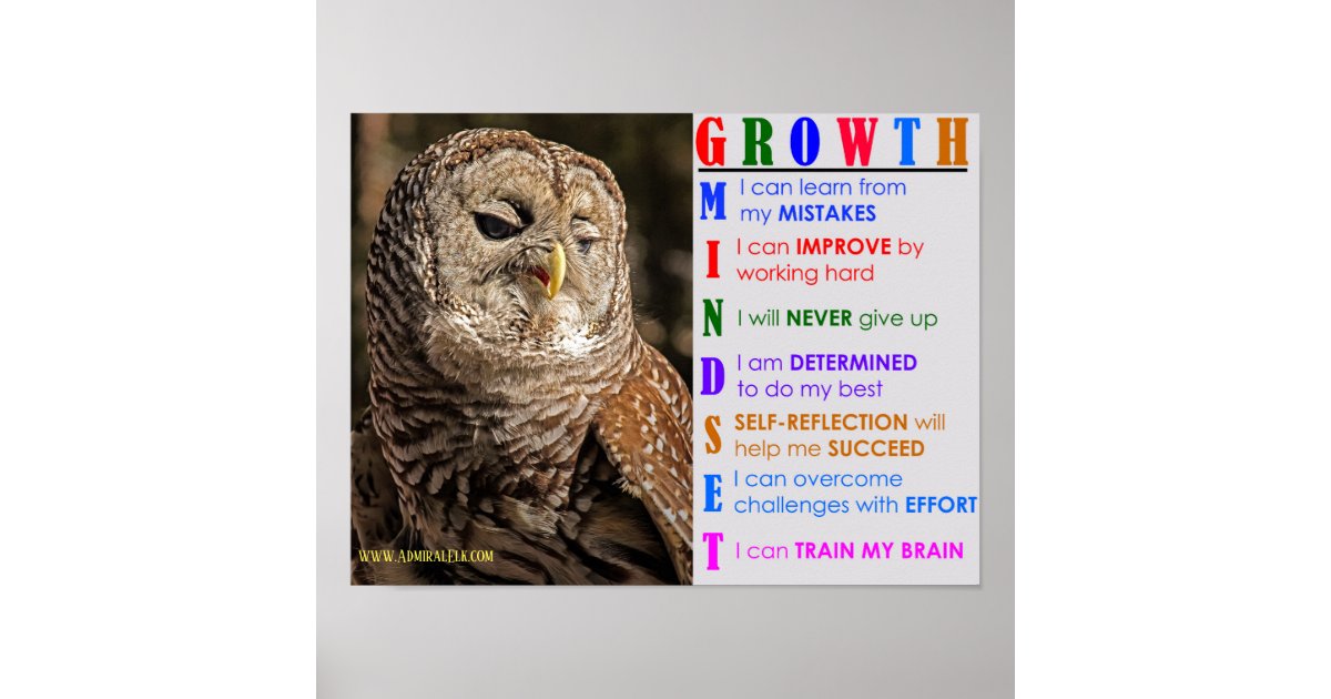 Growth Mindset Owl Poster | Zazzle