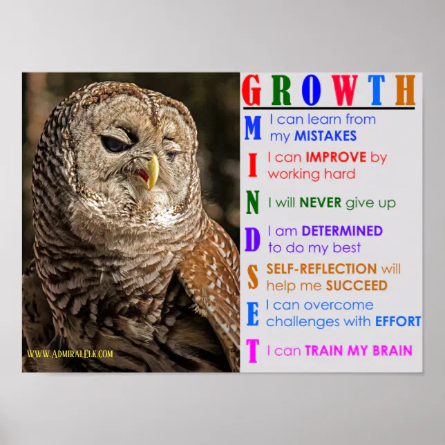 Growth Mindset Owl Poster | Zazzle