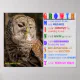 Growth Mindset Owl Poster | Zazzle