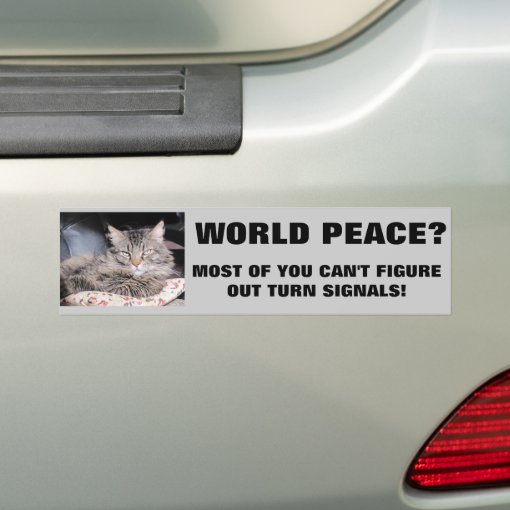 Grumpy Angel wants you to use your blinker Bumper Sticker | Zazzle