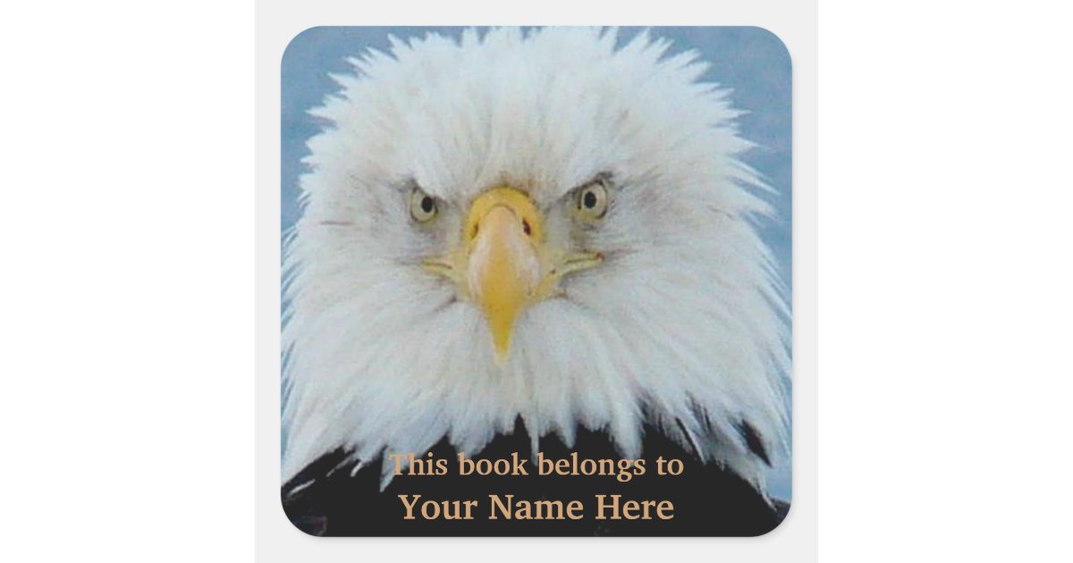 Grumpy Bald Eagle Square Sticker | Zazzle