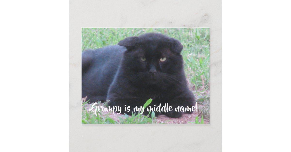 Grumpy card | Zazzle.com