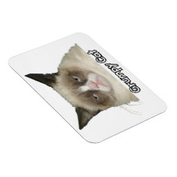 Grumpy Cat 3x4 Flexible Magnet | Zazzle