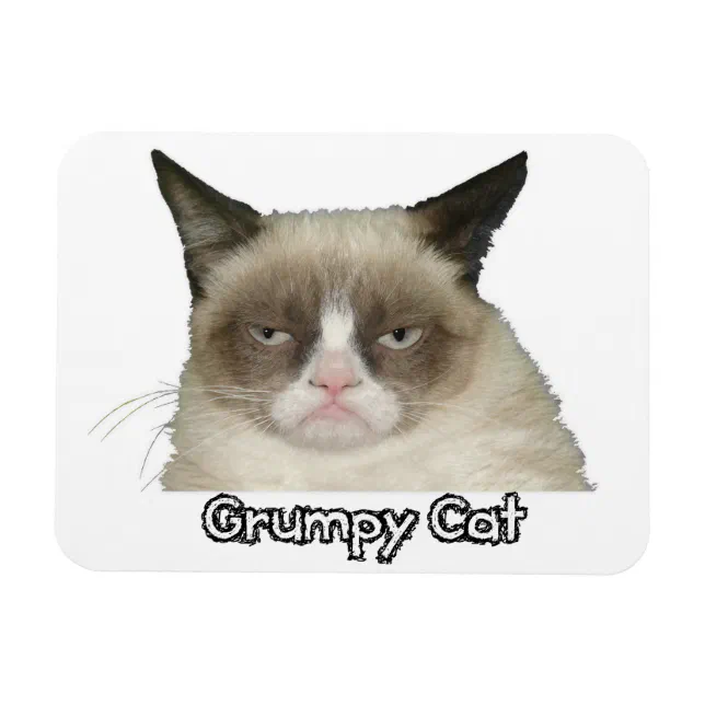 Grumpy Cat 3x4 Flexible Magnet | Zazzle