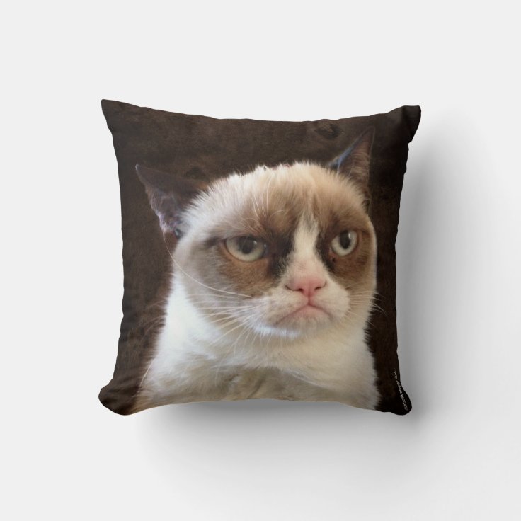 Grumpy Cat Brown Pillow | Zazzle
