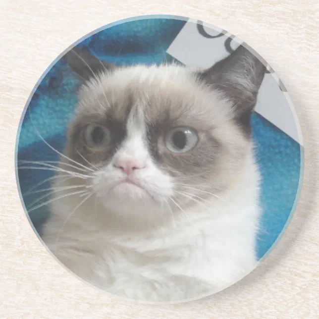 Grumpy Cat Coasters | Zazzle