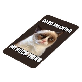 Grumpy Cat Flexible Magnet | Zazzle