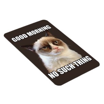 Grumpy Cat Flexible Magnet | Zazzle