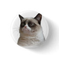 Grumpy Cat Glare Button | Zazzle