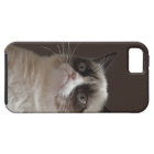 Grumpy Cat Glare Case-Mate iPhone Case | Zazzle