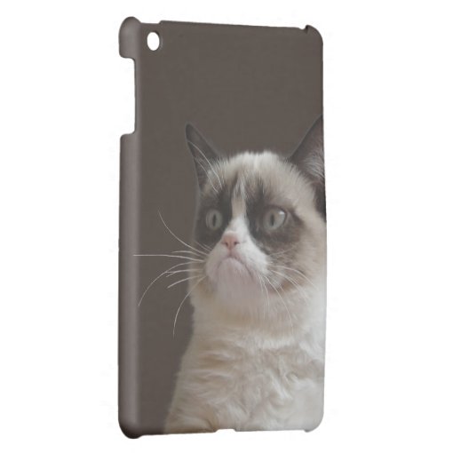 Grumpy Cat Glare Cover For The iPad Mini | Zazzle