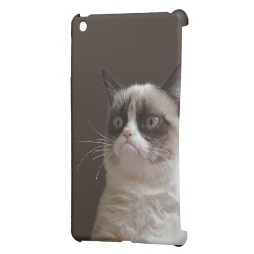 Grumpy Cat Glare Cover For The iPad Mini | Zazzle